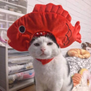 Steam Community :: 小鱼姑娘