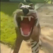 Steam Community :: Flint loco