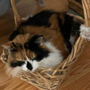 Steam Community :: rylan