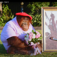 Steam Community :: Rambo