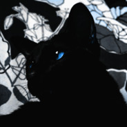 EASY - CS2 Stats and Player Profile - Leetify