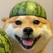 Steam Community :: Cheems