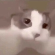 Steam Community :: Bung