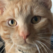 Steam Community :: Elda