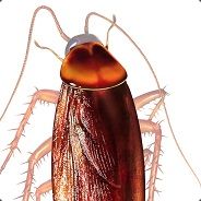Steam Community :: Group :: The Cockroaches