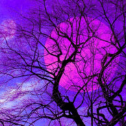 Steam Community :: † .h1soka