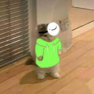 Steam Community :: Gato Dream_