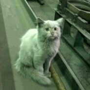 Steam Community :: Kyoto