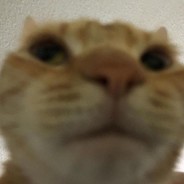 Steam Community :: brokulis