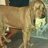 Steam Community :: Jenna Tolls