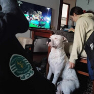 Steam Community :: GRILLO 258 vc ho mano