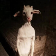 Steam Community :: sssssddddd