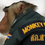 Steam Community :: Group :: The LAPD Monkies