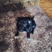 Steam Community :: Group :: Linabest