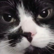 Steam Community :: TheGreysonW