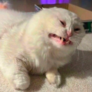 Steam Community :: Pohun’