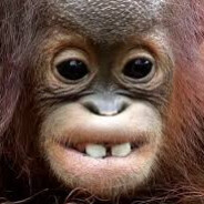 Steam Community :: Monkey