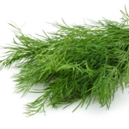 Steam Community :: ykrop #bloodrust