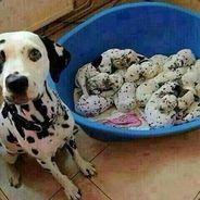 Steam Community :: ppppppppppppppppppppp