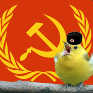 Steam Curator: Comrade Ivan