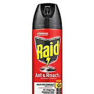 Steam Community :: a_can_of_raid