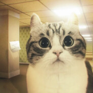 Steam Community :: churka