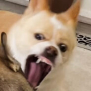 Steam Community :: B4YCHI