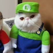 Steam Community :: Luigi cat