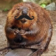 Steam Community :: [Bober] Bober pvp