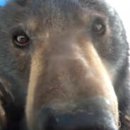 Steam Community :: wnkr