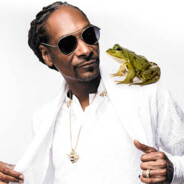 Steam Community :: Snoop Frog