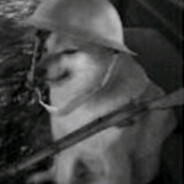 Steam Community :: Soldier Cheems