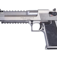 Steam Community :: Deagle