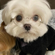 Steam Community :: cent