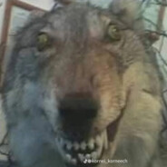 Steam Community :: kacap