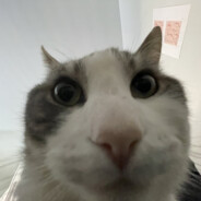 Steam Community :: medical grade opium