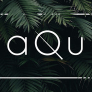 Steam Community :: Aqu