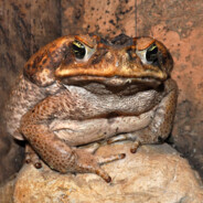 Steam Community :: jaba aga