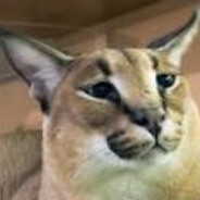 Steam Community :: Anton the gamer floppa