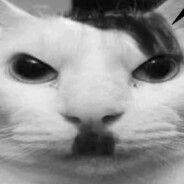 Steam Community :: /RTX\ Genius-Cat Gitler