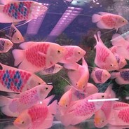 Steam Community :: Group :: meteora meteora