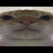 Steam Community :: o7