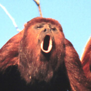 Steam Community :: monke