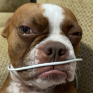 Steam Community :: hector