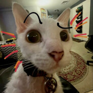 Steam Community :: Bub!