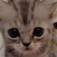 Steam Community :: Ray