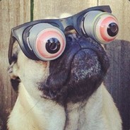 Steam Community :: Group :: Autism Pug Community