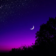 Steam Community :: Andrei Velicu