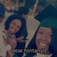 Steam Community :: Goose (Ultrakill)