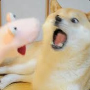 Steam Curator: Doge`s Base